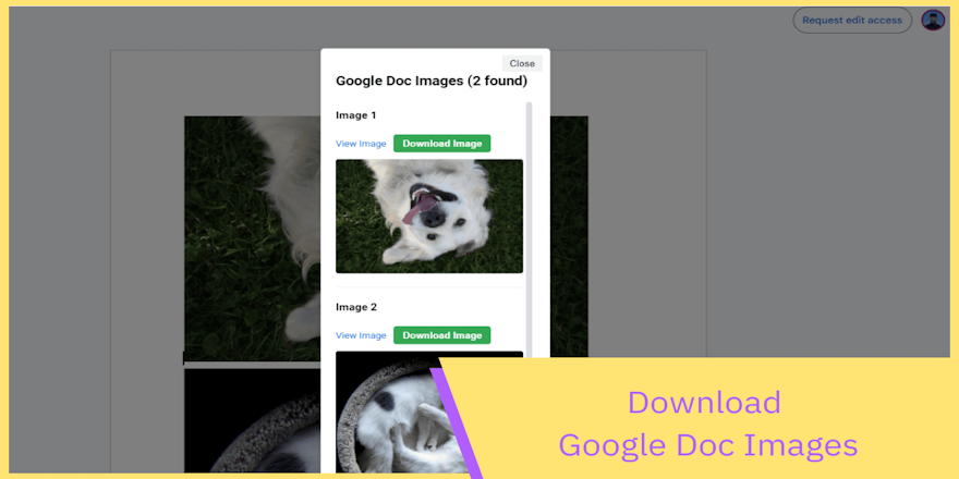 Download Google Doc Images - Saijo George